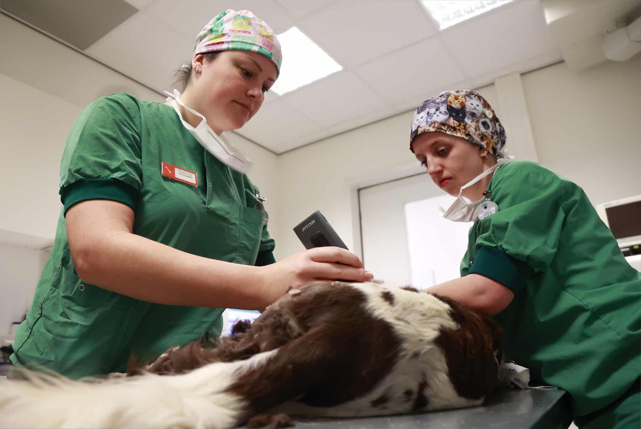 Anesthesie - Medisch Centrum Voor Dieren