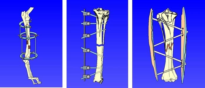 Botbreuk behandeling met externe fixateur - Medisch Centrum Voor Dieren